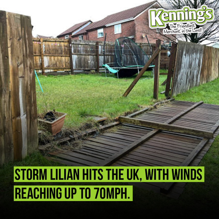 Weathering Storm Lilian with Style: Building a Resilient Garden with ...
